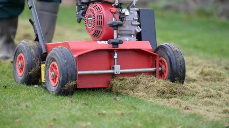 How to Scarify a Lawn With a Machine or Hand Tool