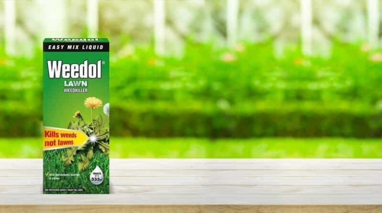 Best Lawn Weed Killer: 3 Top Products For Killing Weeds But Not Grass