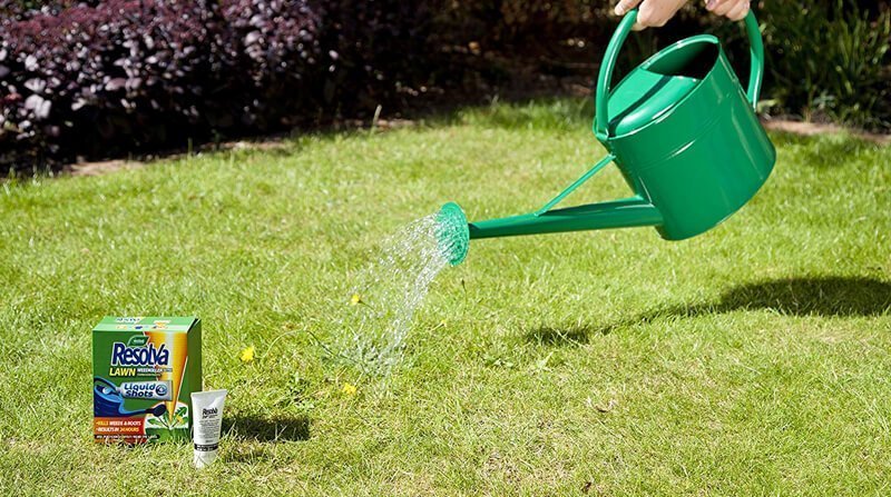 Best Lawn Weed Killer: 3 Top Products For Killing Weeds But Not Grass