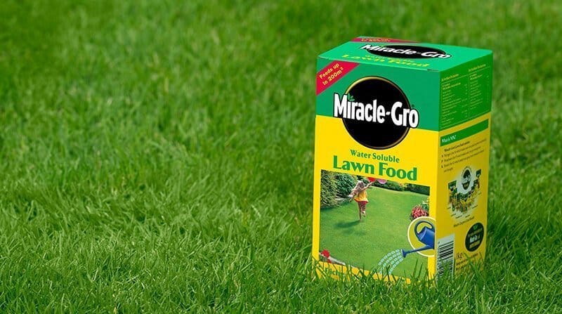 Best Lawn Feed: Reviews of 5 Granular & Liquid Fertilisers For Lush Grass