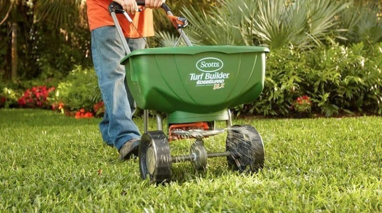 What to Do After Scarifying the Lawn to Make it Look Better Than Ever