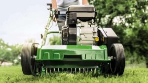 What is Scarifying and Why is it Important? - GardenSeeker.com