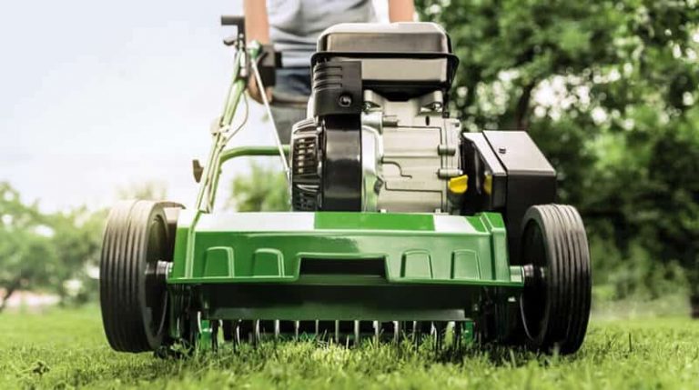 What is Scarifying and Why is it Important? - GardenSeeker.com