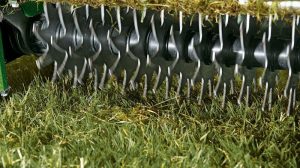 What is Scarifying and Why is it Important? - GardenSeeker.com