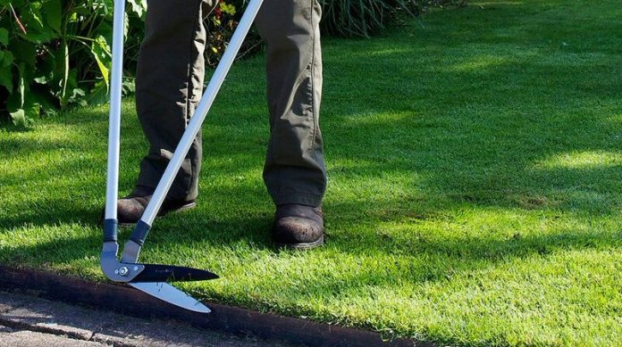 How to Edge a Lawn: Your Complete Guide to Perfect Lawn Edges